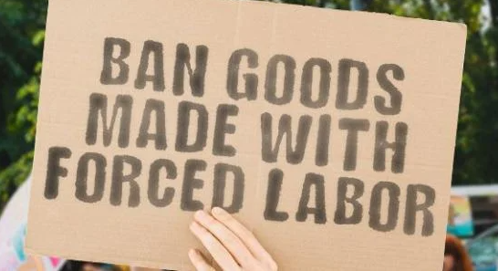 Congressional Committee Requests Further Enforcement of the Uyghur ...